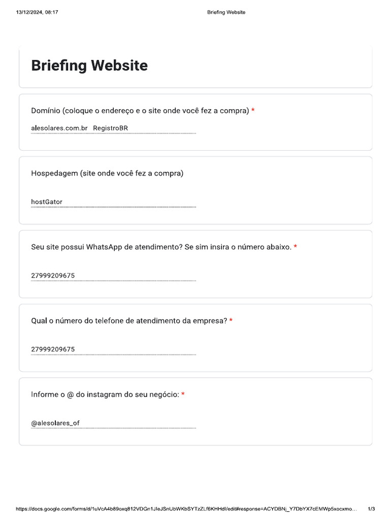 Briefing Ale Solares | PDF