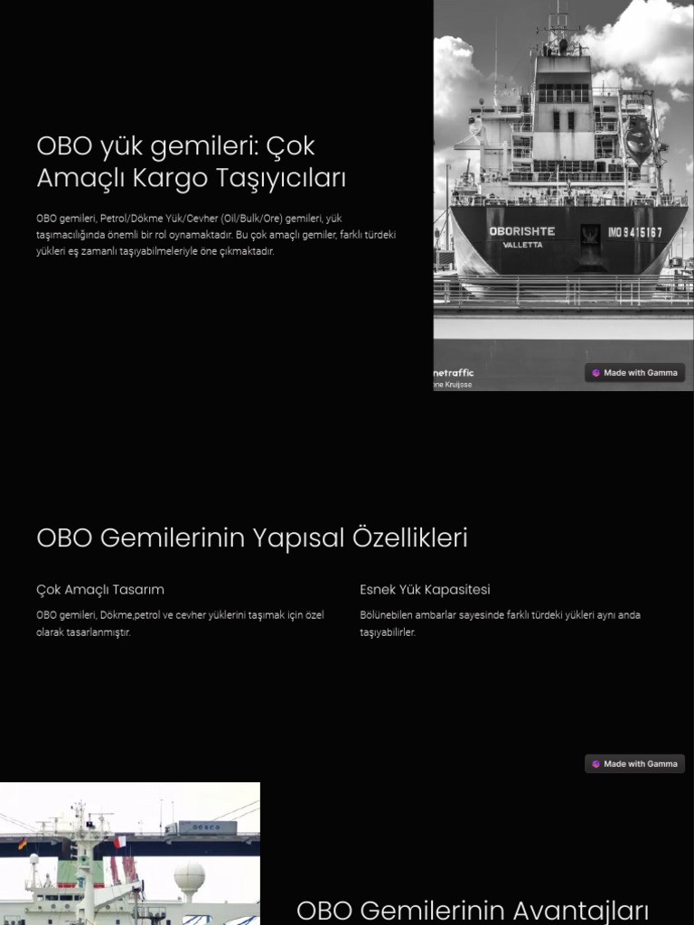 OBO-yuk-gemileri-Cok-Amacli-Kargo-Tasiyicilari | PDF