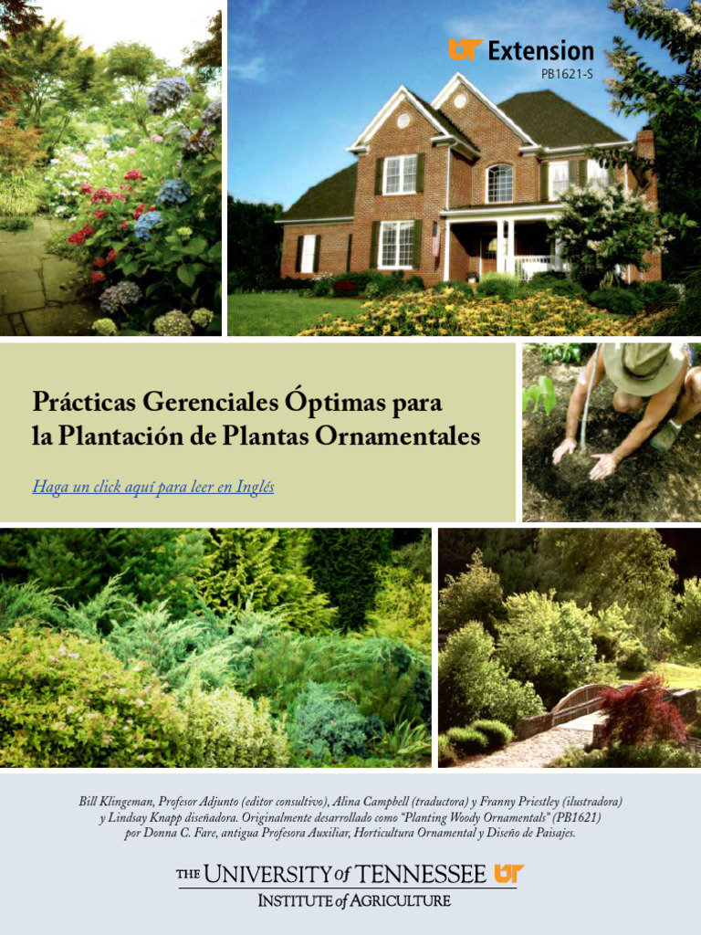 Transplante de Arboles | PDF | Pajote | Arboles