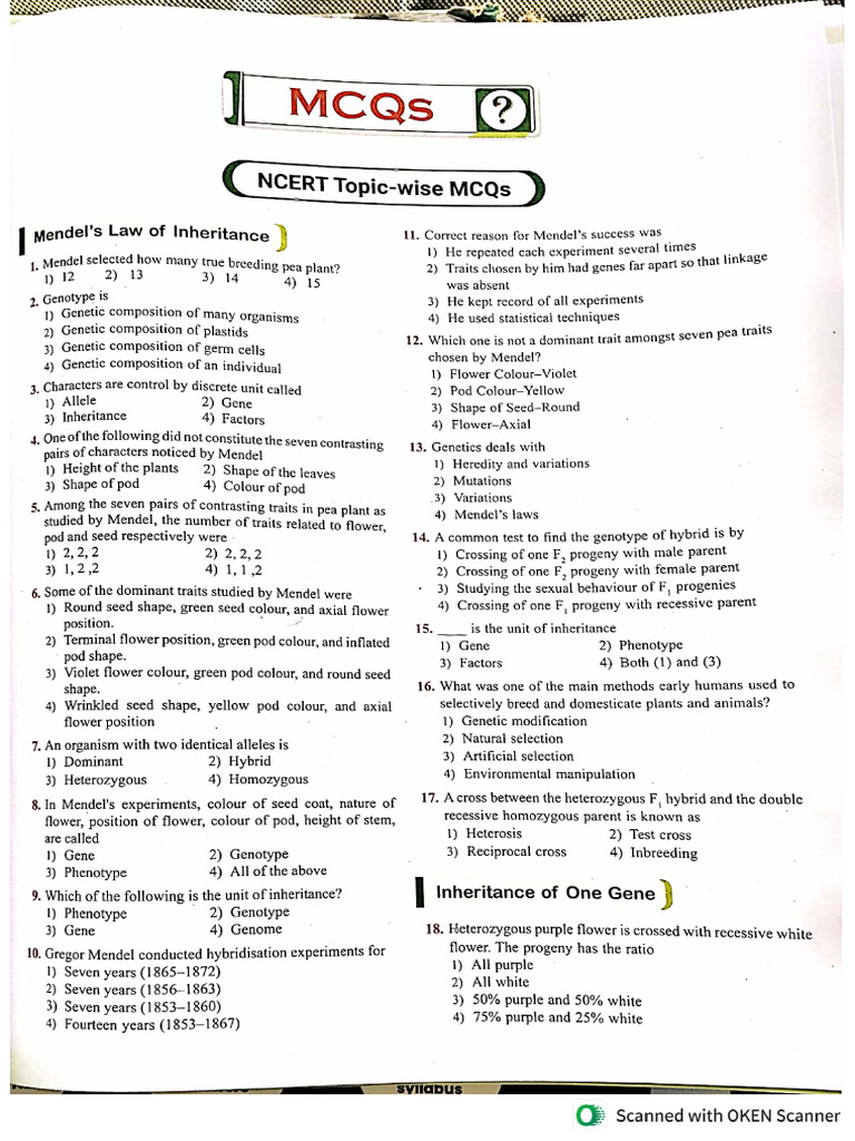 Principle Base Inheritance | PDF