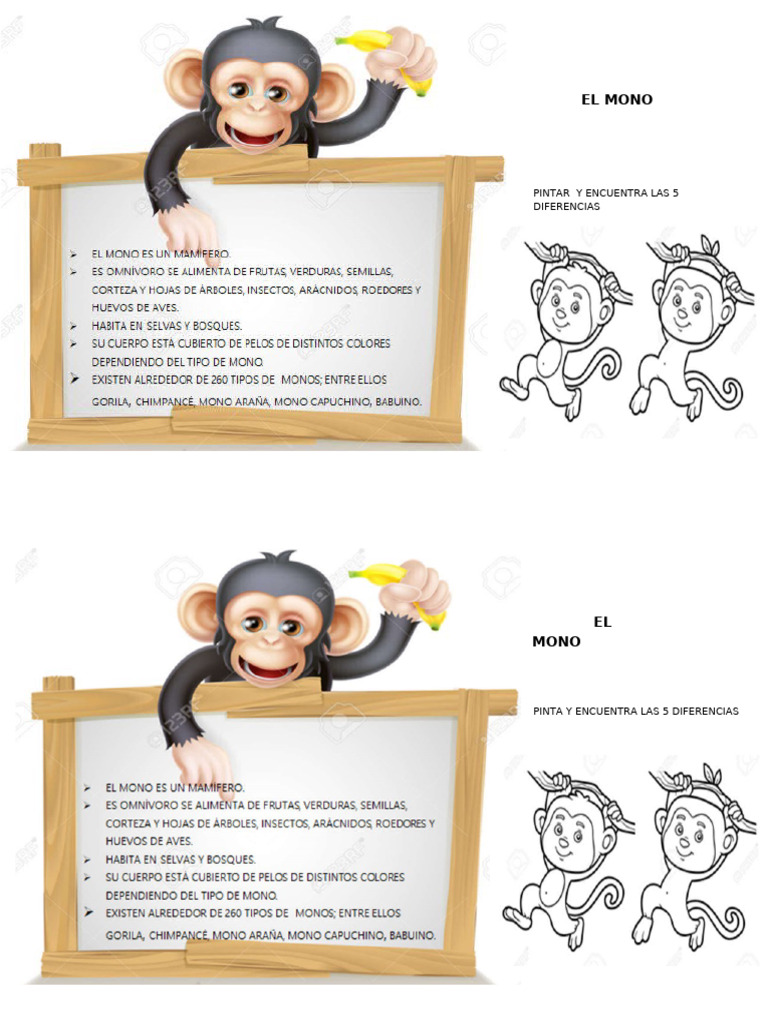 Encuentra 5 diferencias del mono | PDF