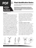 Leaf and Leaflet Morphology Guide | PDF | Leaf | Branches Of Botany