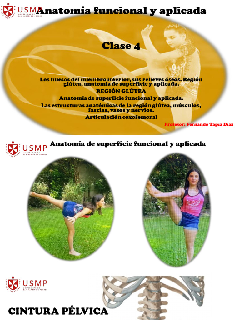 Cuarta Clase | PDF | Anatomía del miembro inferior | Cadera