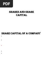 Types of Share Capital Explained | PDF | Equity (Finance) | Balance Sheet