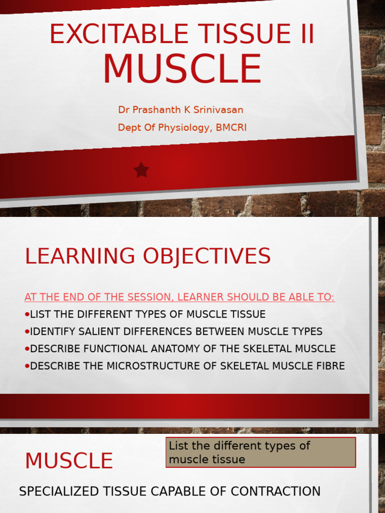 Muscle Introduction | PDF | Muscle Contraction | Skeletal Muscle