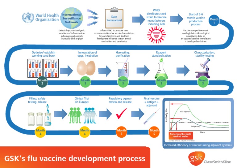 GSK Flu Vaccine Production Process | PDF