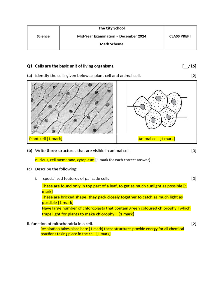 Mid-Year Science Exam Mark Scheme 2024 | PDF | Chemical Compounds ...
