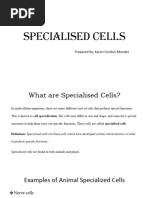 Specialised Animal Cells - Living Organisms - KS3 Biology - BBC ...