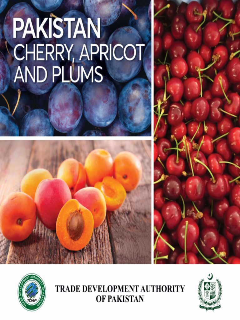 Cherries Brochure | PDF