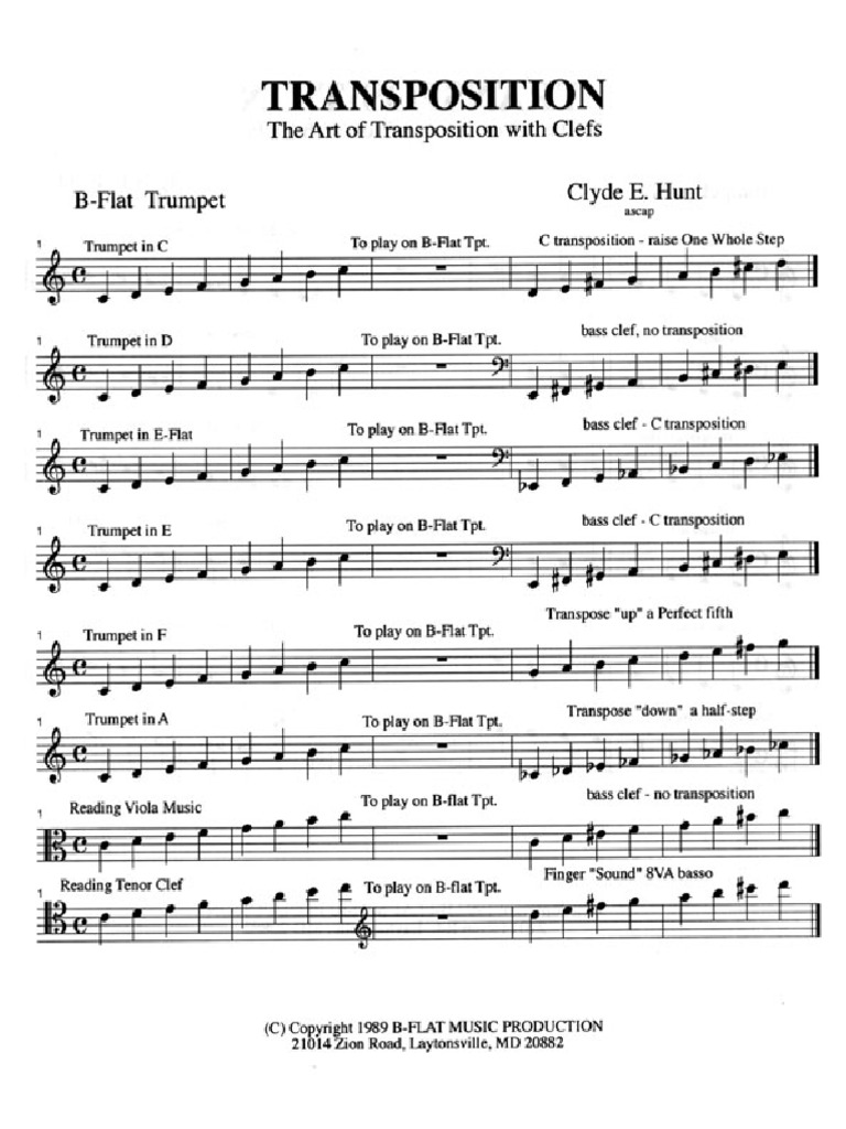 Transposition - TRPT in BB | PDF