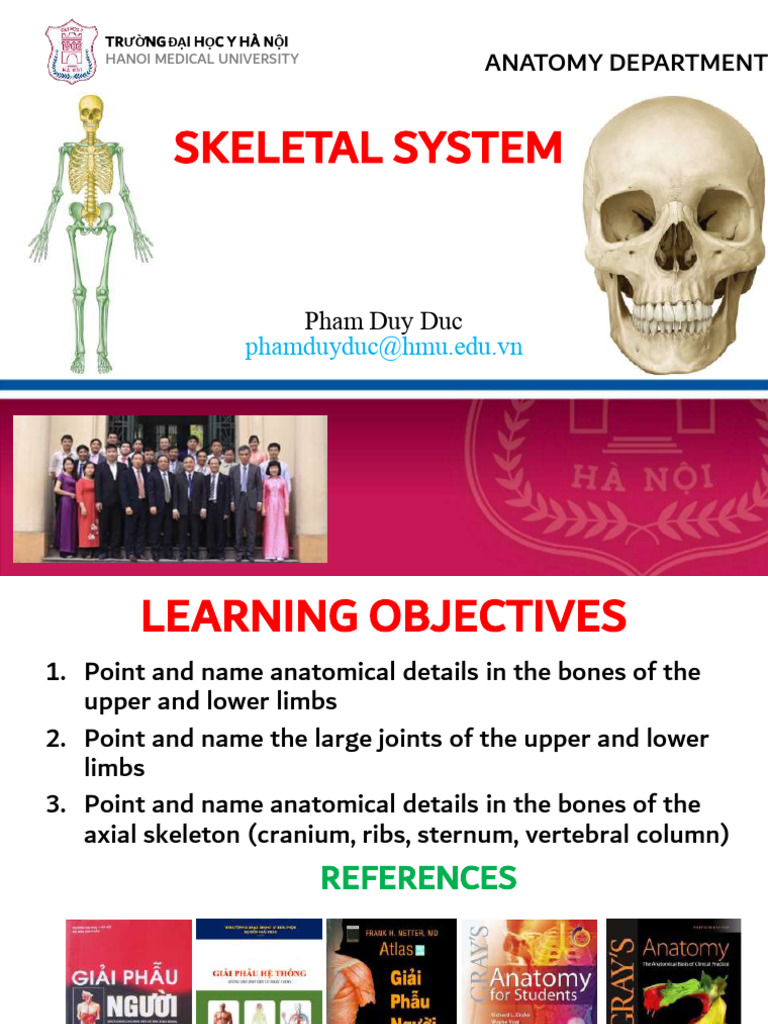 Bones and Joints of Upper Limb | PDF | Vertebra | Skeletal System