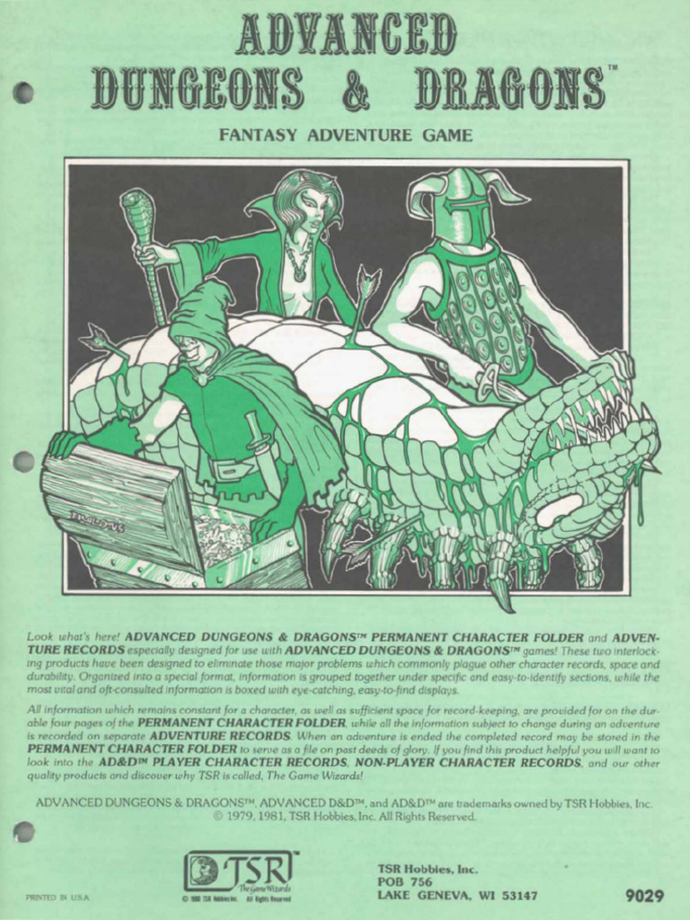 TSR 9029 - Permanent Character Folder | PDF | Dungeons & Dragons