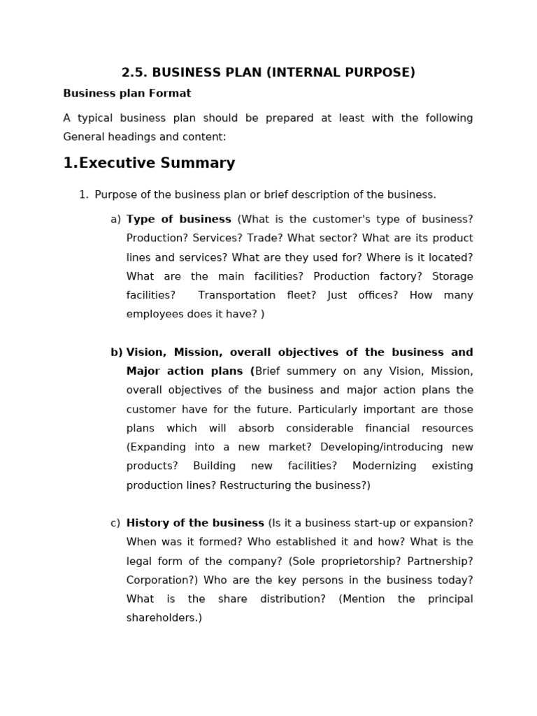 Customer Business Plan Format (2) | PDF | Revenue | Balance Sheet