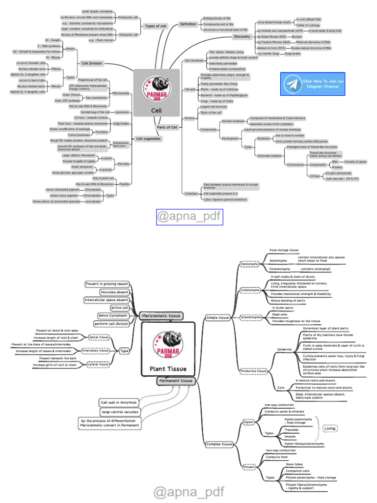 (@apna - PDF) Parmar Mind Maps English Merged by @apna - PDF | PDF | Tissue (Biology) | Cell ...