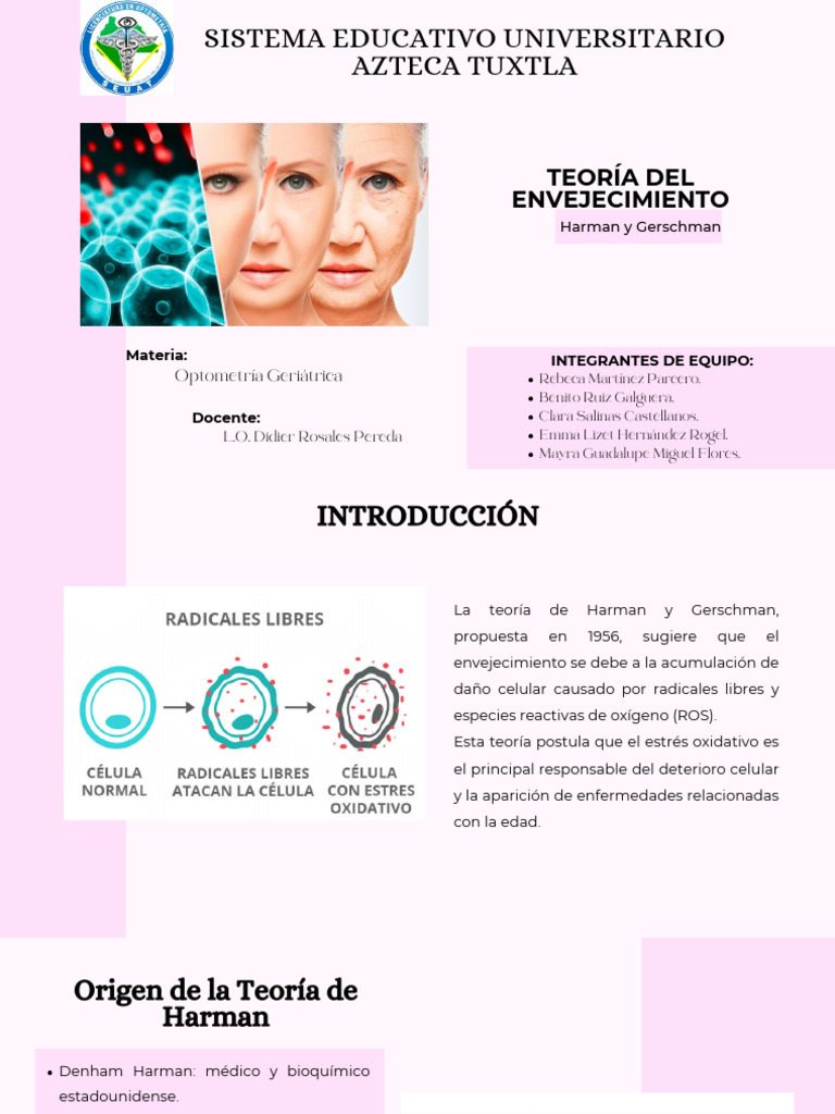 Teoría de Envejecimiento por Radicales Libres | PDF | Envejecimiento ...