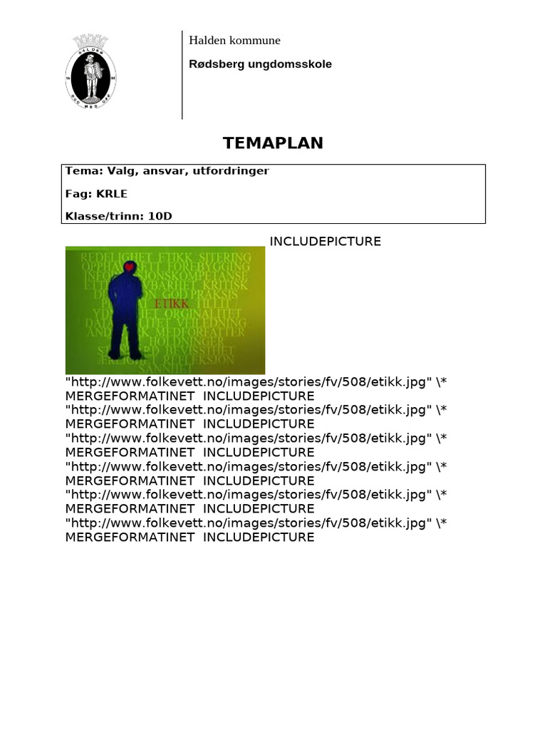 Temaplan Krle Valg Ansvar Utfordringer | PDF