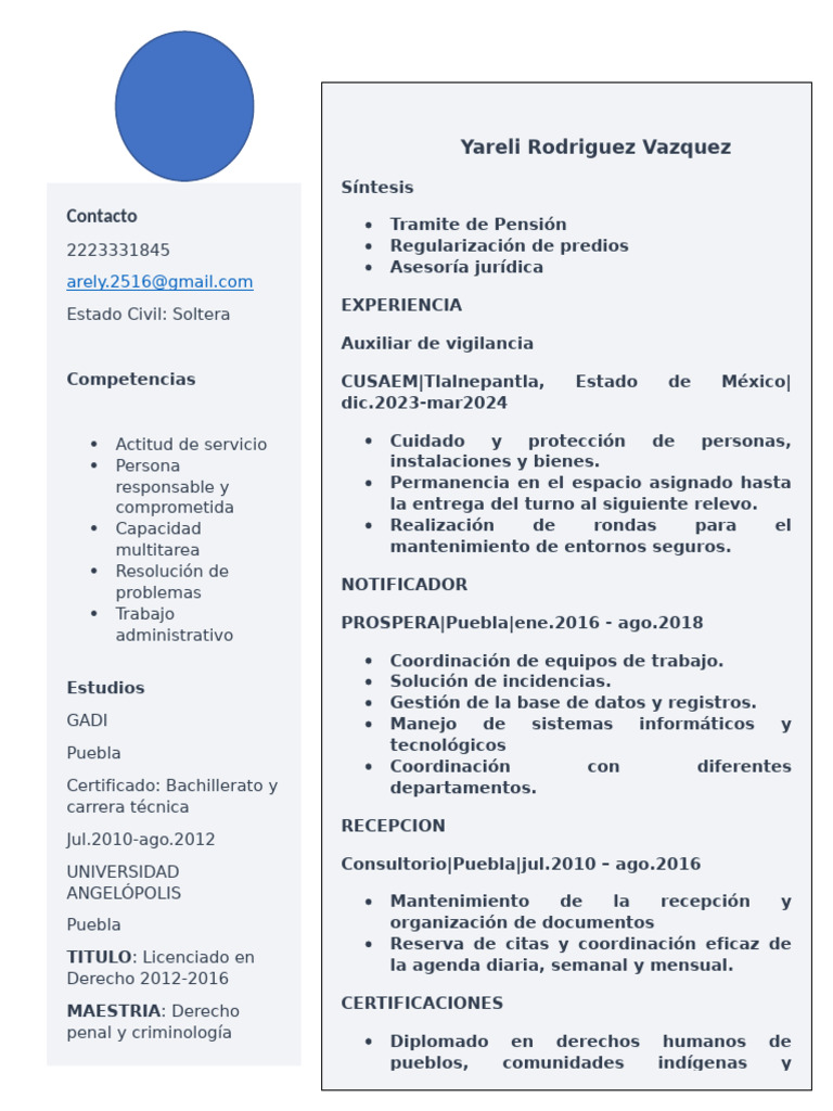 cv ejemplo | PDF