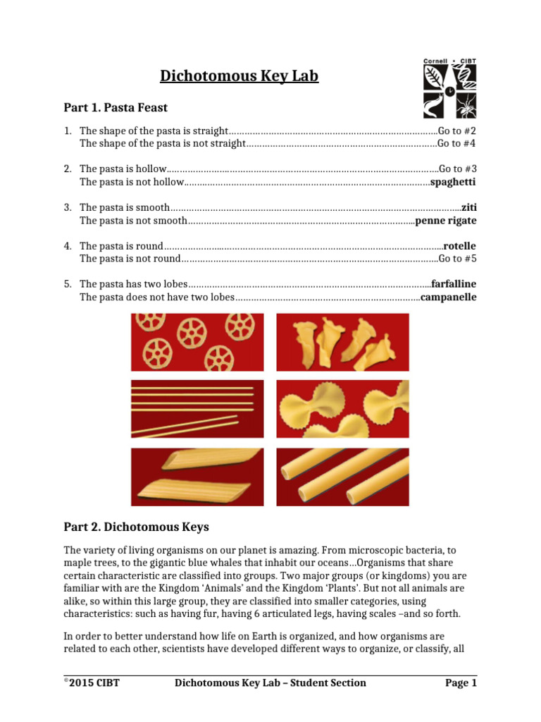 Dichotomous Key Student Worksheet | PDF