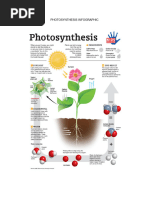 Caribbean Scientists and Their Impact | PDF