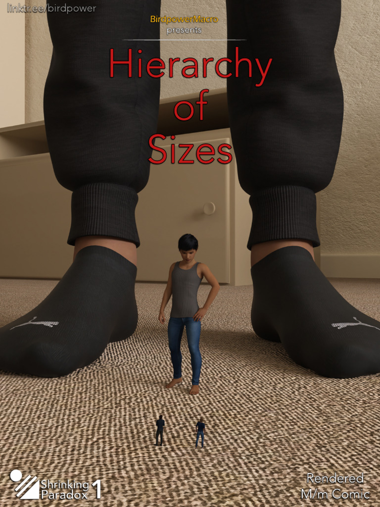 Hierarchy of Sizes | PDF