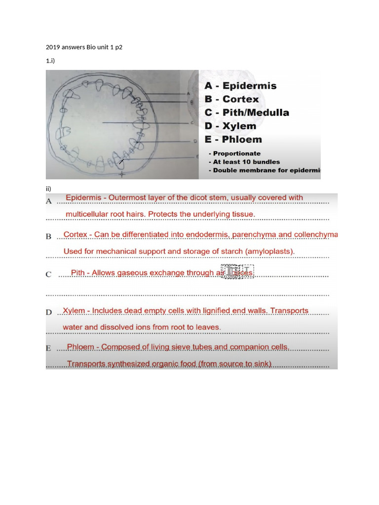 Bio unit 1 p2 answers | PDF