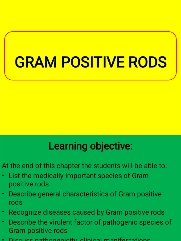 2. medicaly important Gram positive rods (1) | PDF | Anthrax ...