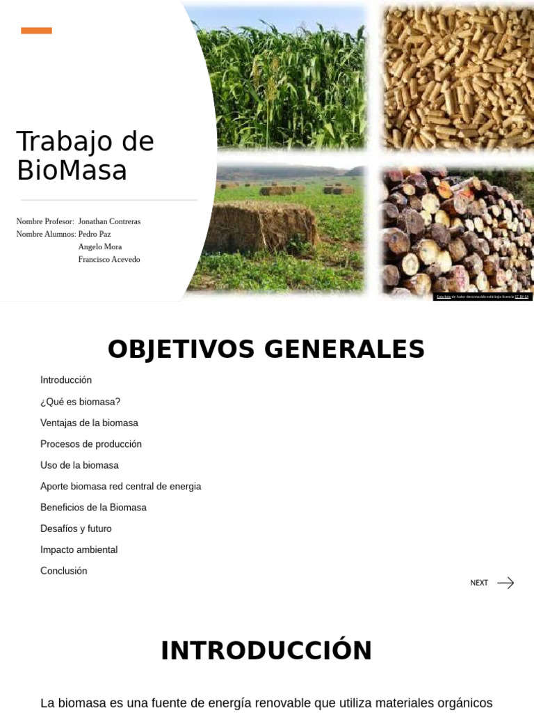 BioMasa | PDF | Biomasa | Energía renovable