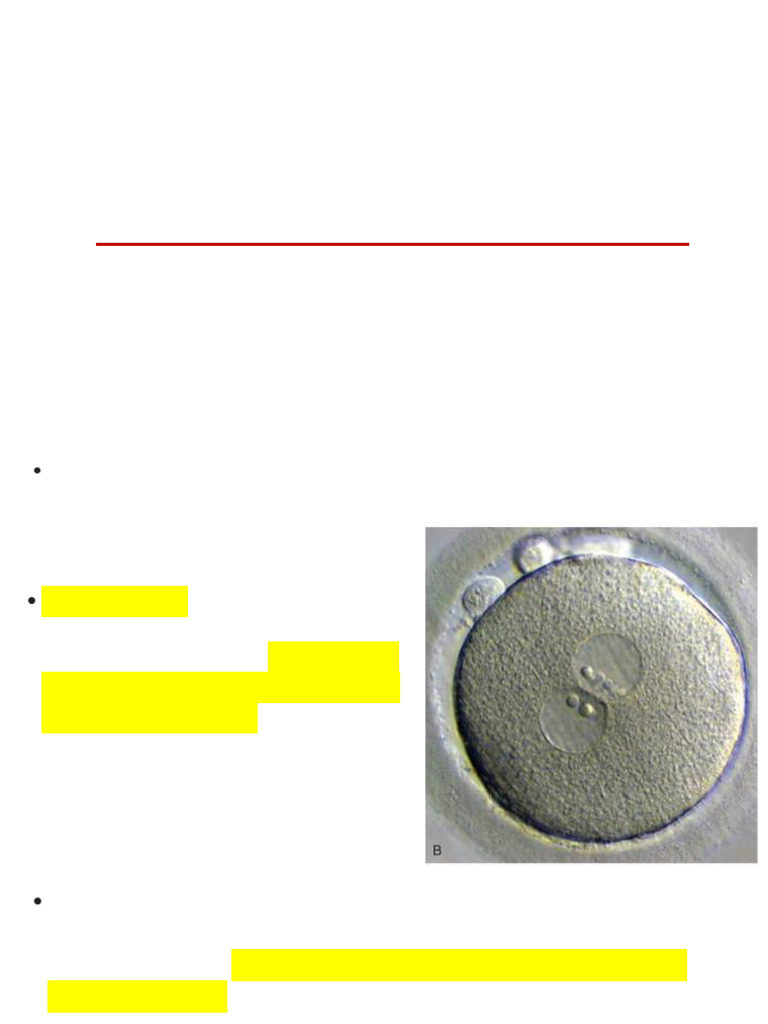 Lecture 2 ANA 203 GENERAL AND SYSTEMIC EMBRYOLOGY | PDF | Meiosis | Chromosome