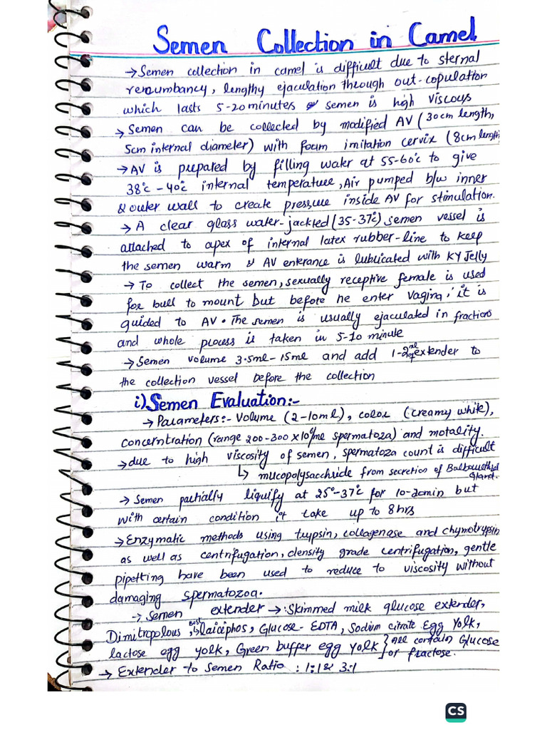 Semen Collection and A.I in Camel by Hassaan Rasheed | PDF