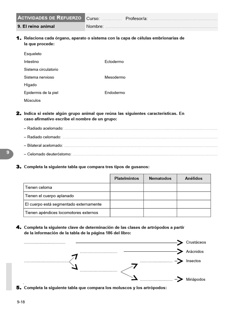 REINO ANIMAL VICENS VIVES Con Soluciones | PDF | Moluscos | Esqueleto