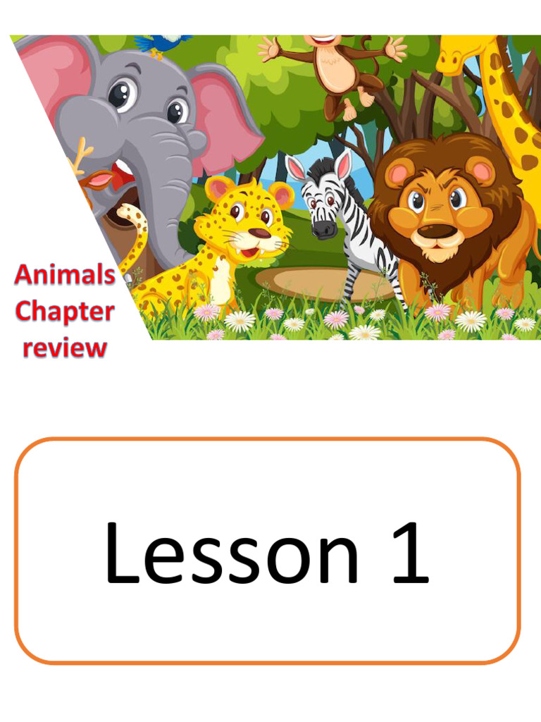 Animal Classification Overview | PDF