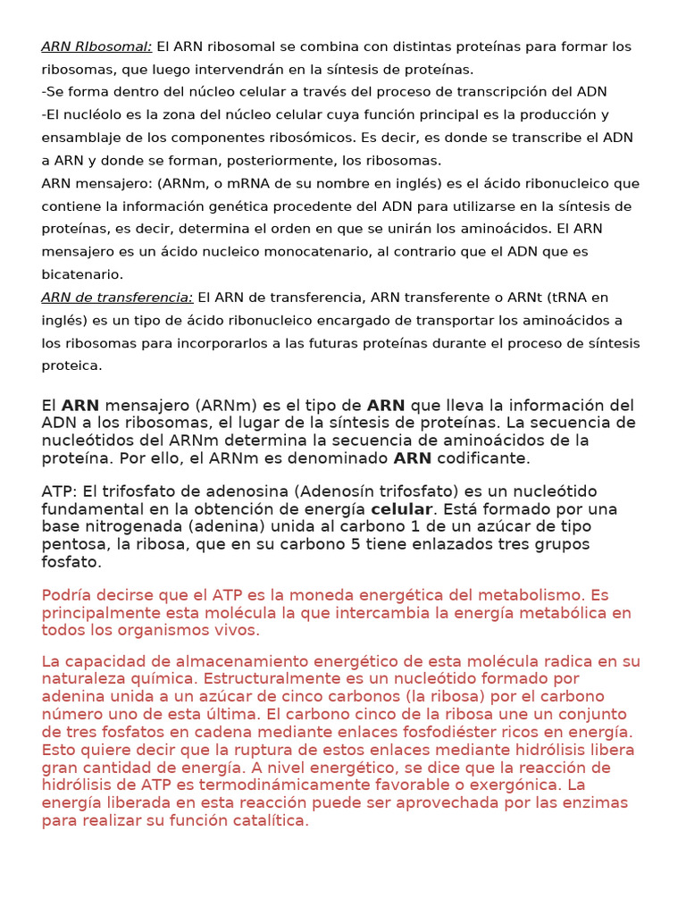 Funciones del ARN y ATP en células | PDF | Rna | Biología estructural