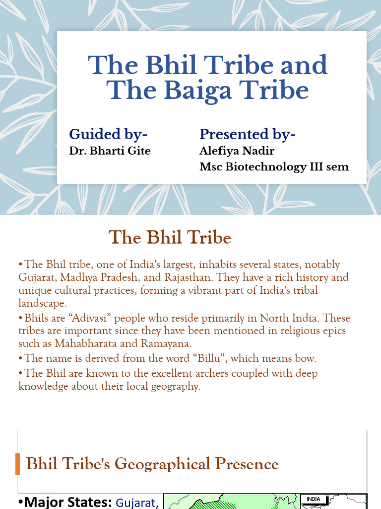 Bhil Tribe: Culture and Heritage Overview | PDF
