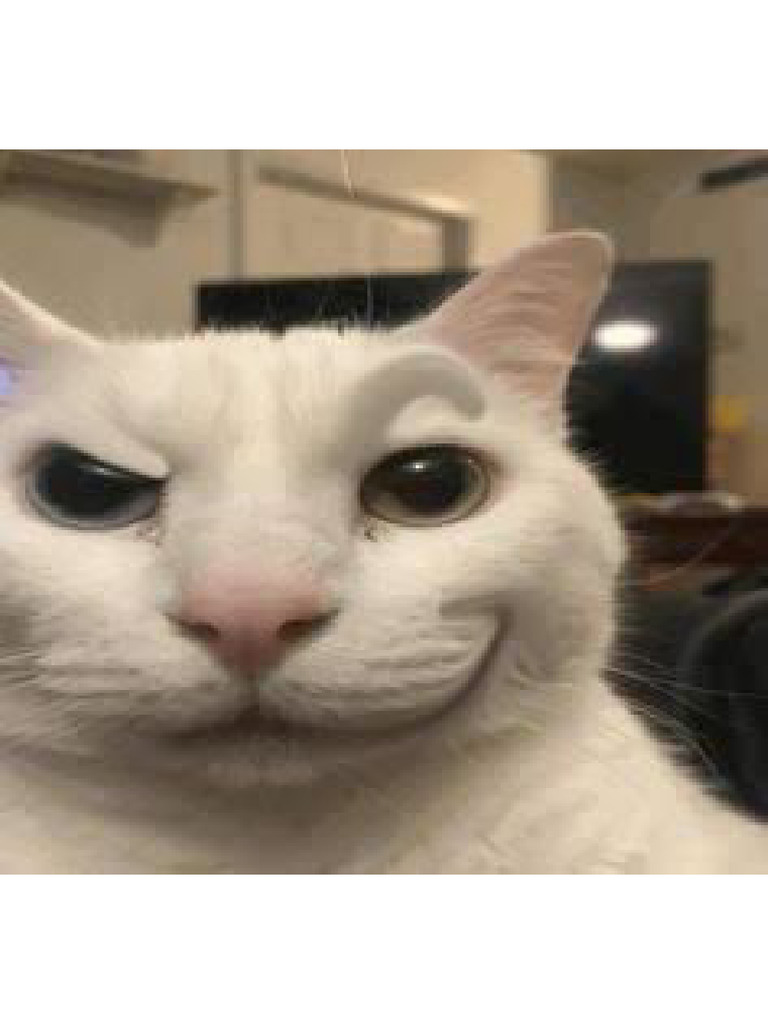 ay mi gatito miau miau | PDF