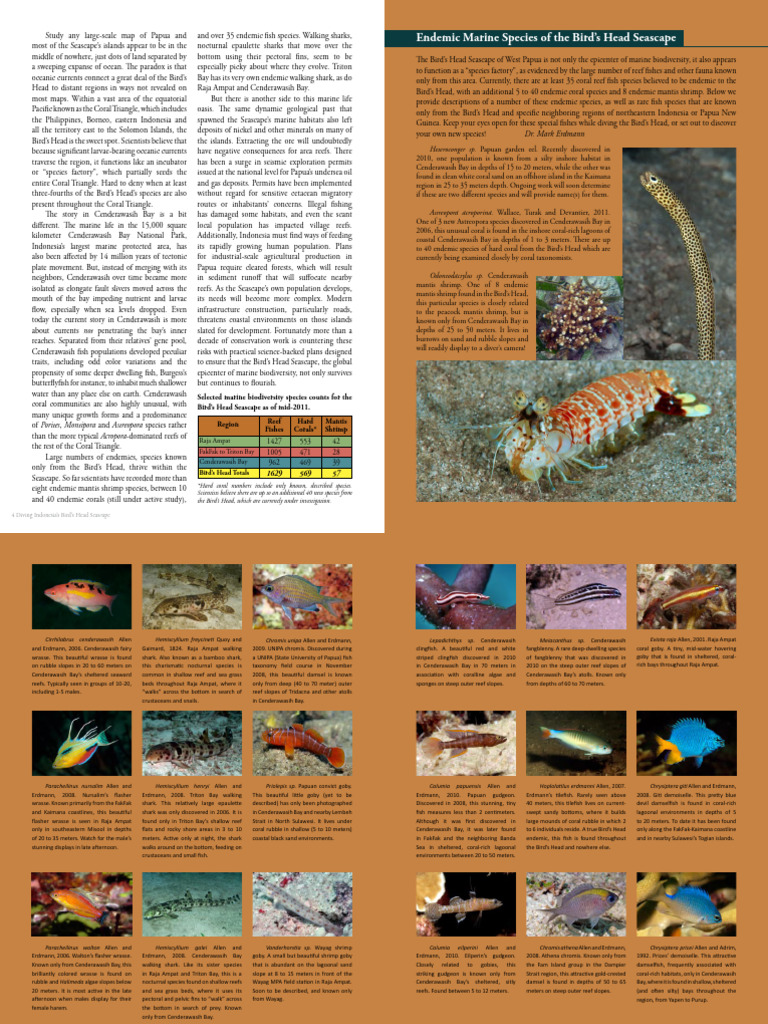 Jenis-jenis biota endemik | PDF | Reef | Coral