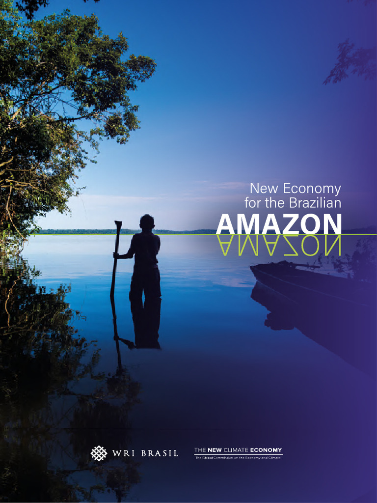 New Economy Report: Brazilian Amazon | PDF | Climate Change | Amazon ...