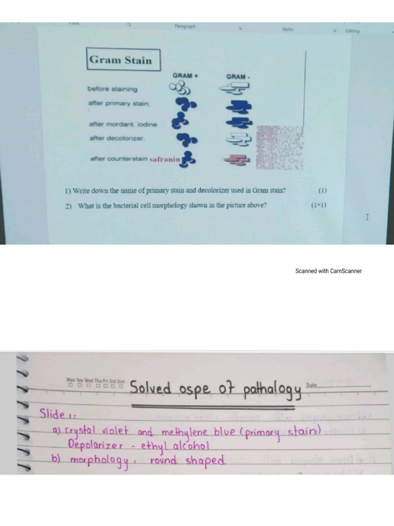 Pathology + Microbiology OSPE-1 | PDF