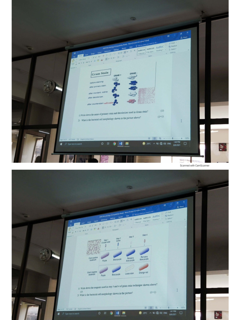 Pathology and Microbiology OSPE | PDF