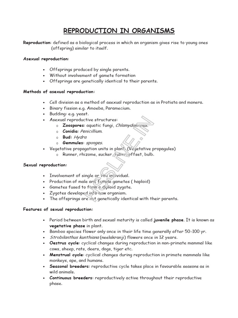SEO Strategies for Document Optimization | PDF