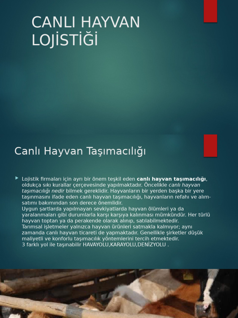 canli hayvan tasimaciligi | PDF