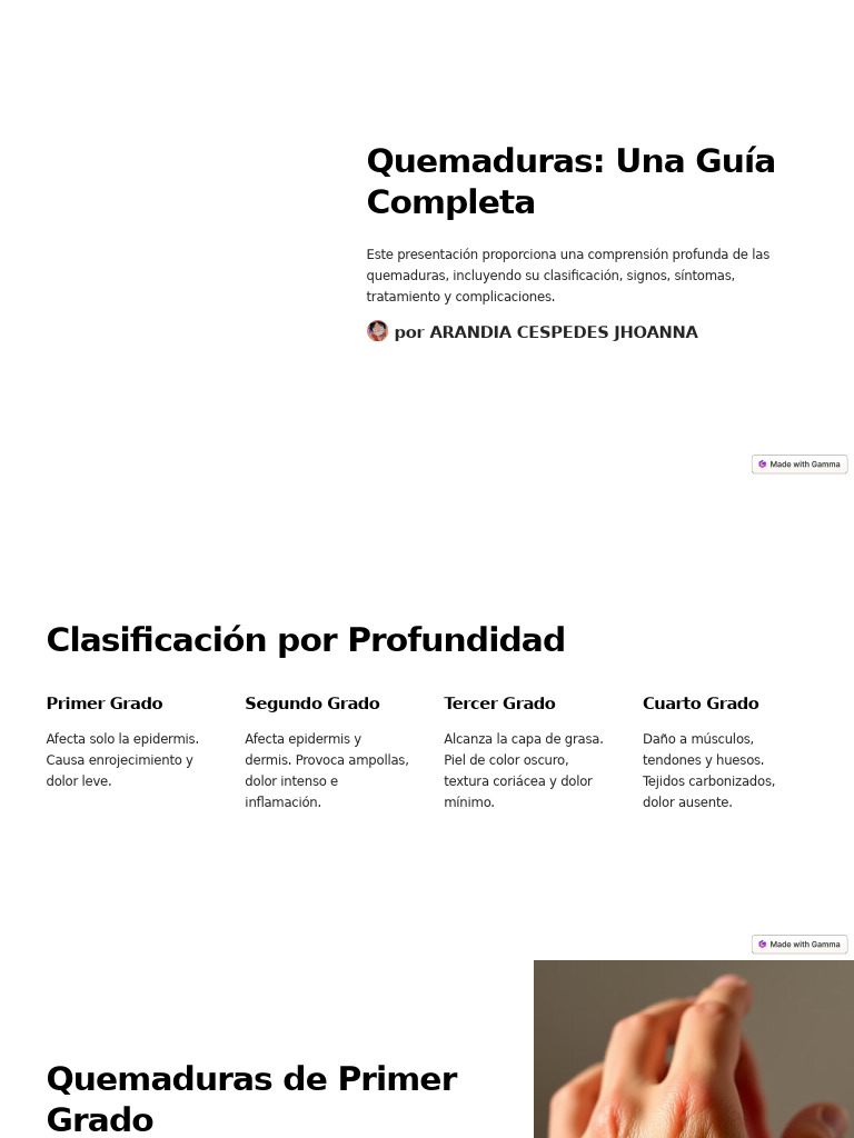 Guía Completa de Quemaduras y Tratamientos | PDF | Quemar | Piel
