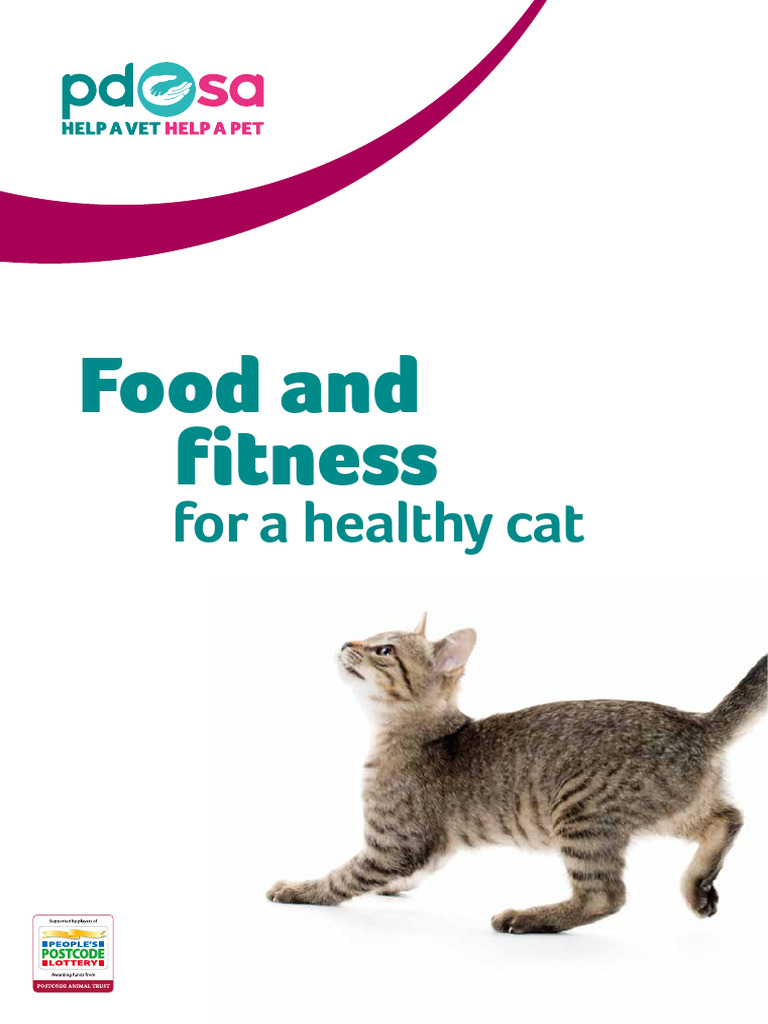 Pdsa Food and Fitness For A Healthy Cat | PDF | Nutrition | Diet ...