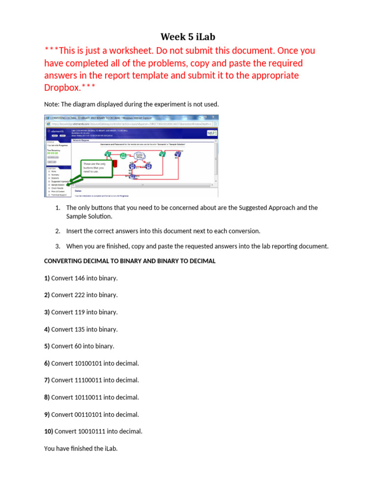 Binary and IP Conversion Tasks | PDF | Computing
