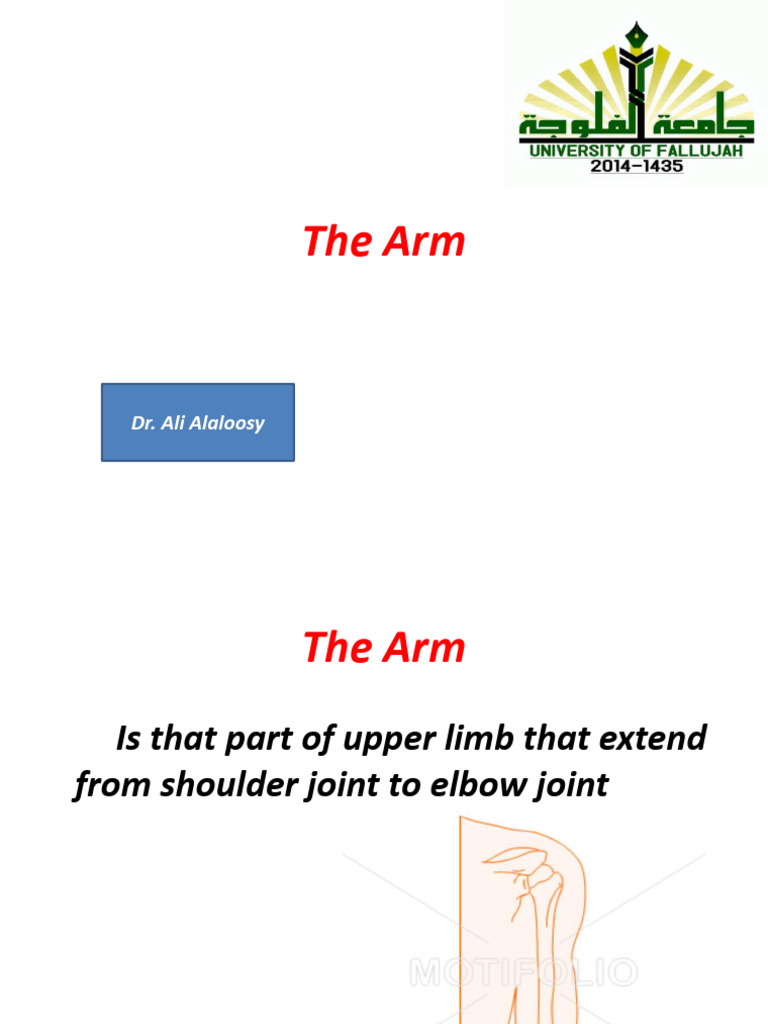 the arm | PDF | Arm | Elbow