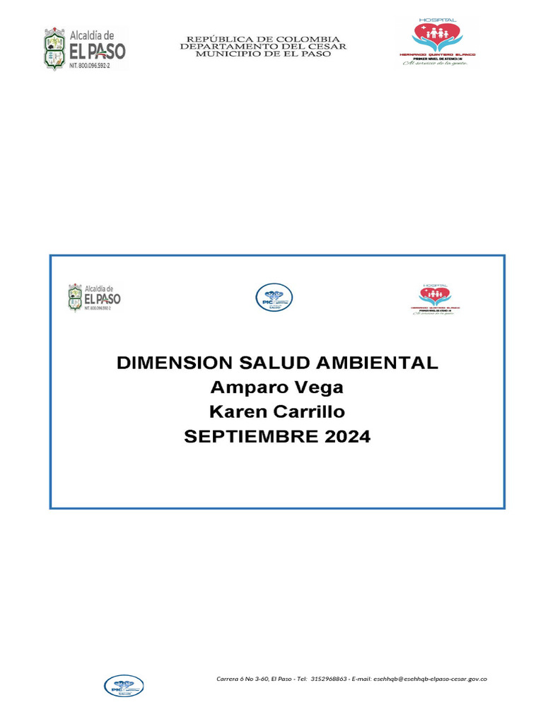 Acta de Ejecucion | PDF