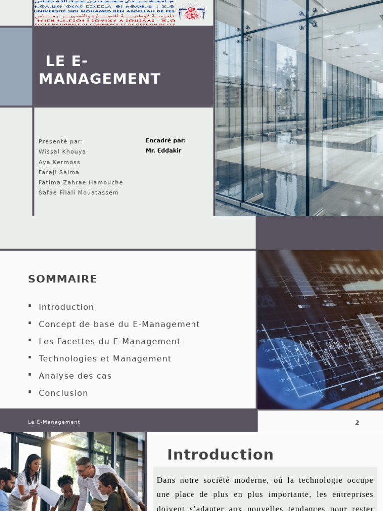 Le e-management | PDF | Business | Informatique