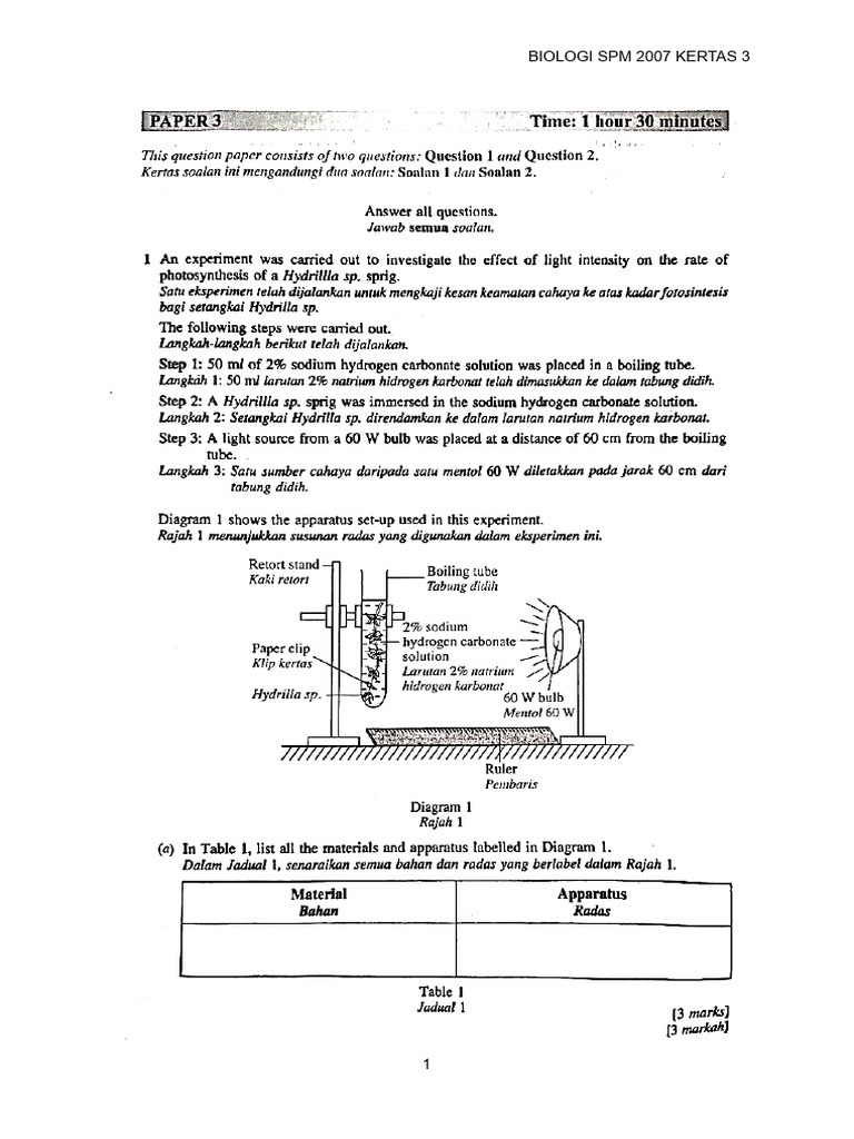 BIO K3 FOTOSINTESIS SPM 2007 Q&A | PDF