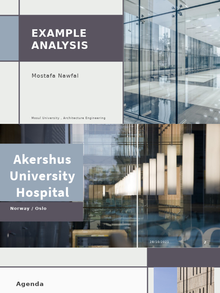 Hospital Example Analysis | PDF