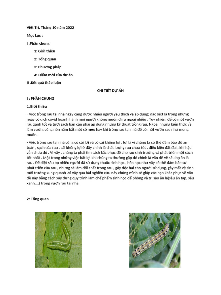 Việt Trì | PDF