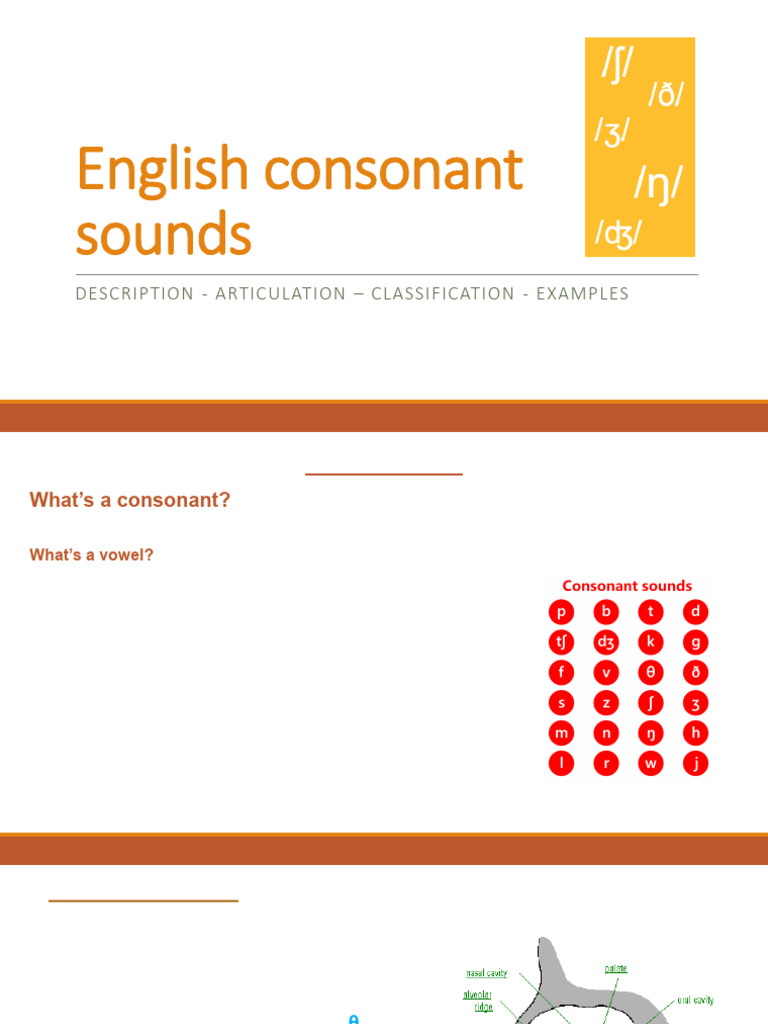 An Intro To English Consonant Sounds | PDF | Human Voice | Phonetics